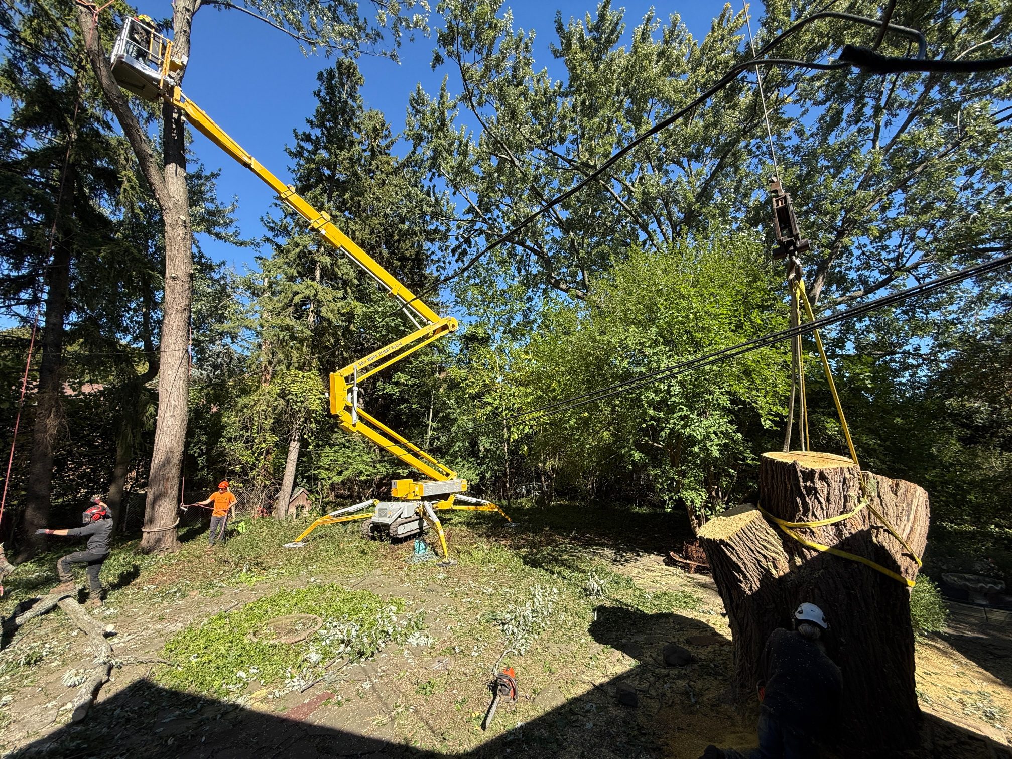 Crafting Captivating Headlines: Your awesome post title goes here ...